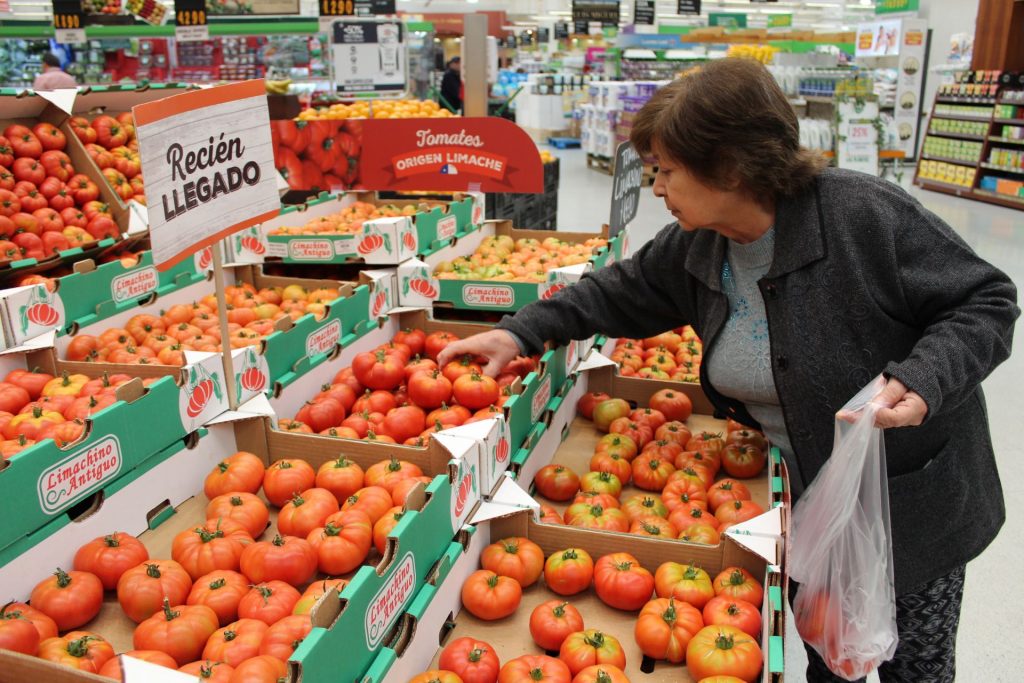 Tomate Limachino Antiguo ya se comercializa en varias comunas de la ...