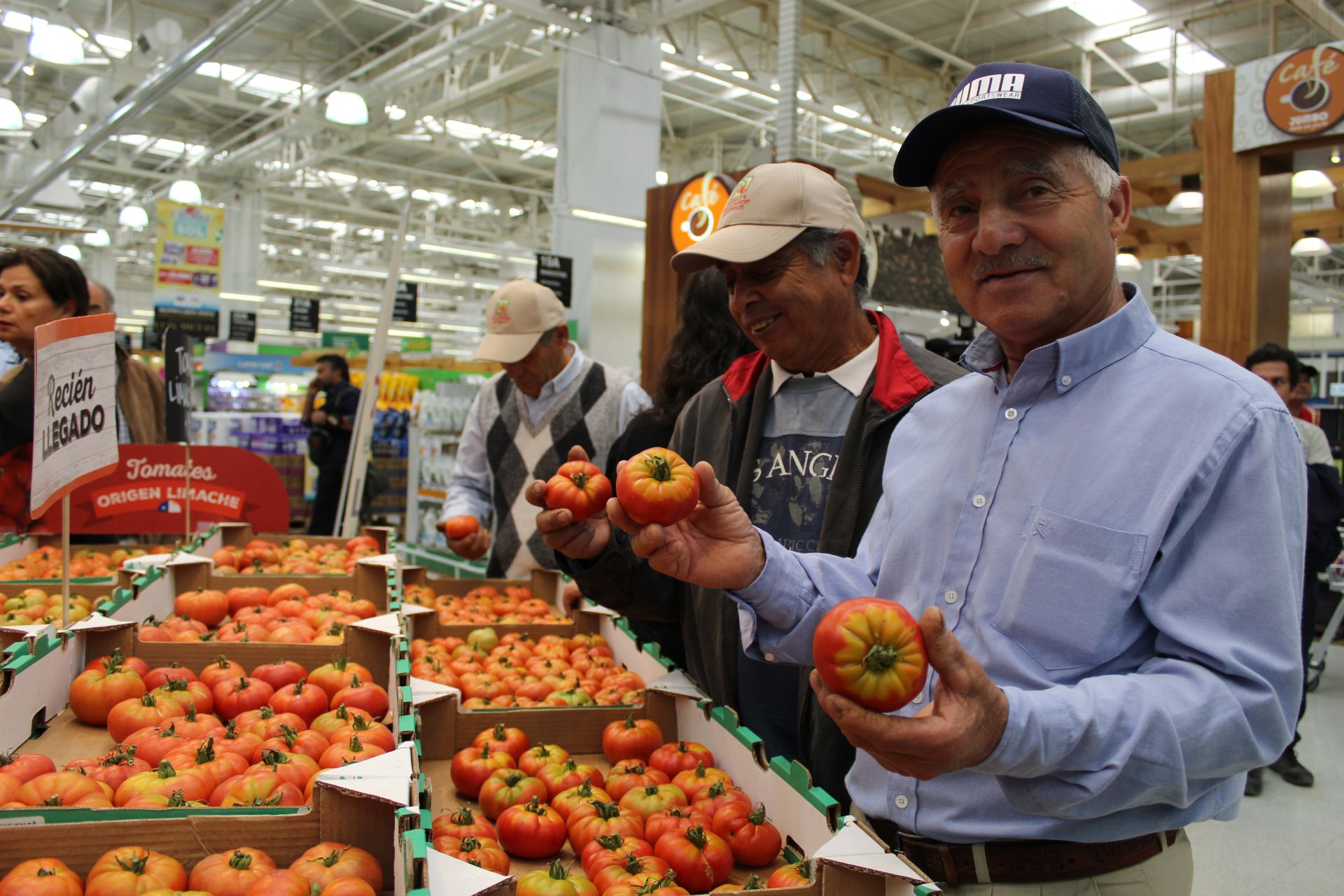 Tomate Limachino Antiguo ya se comercializa en varias comunas de la ...