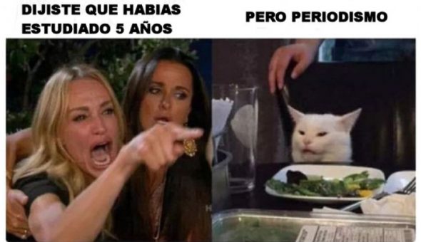 [FOTOS] Meme del gato y mujer llorando arrasa en redes sociales