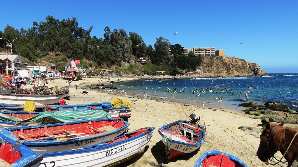caleta horcon | El Observador