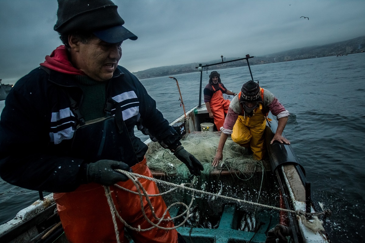 Quintero será sede del 1° Encuentro Nacional de Pescadores Artesanales