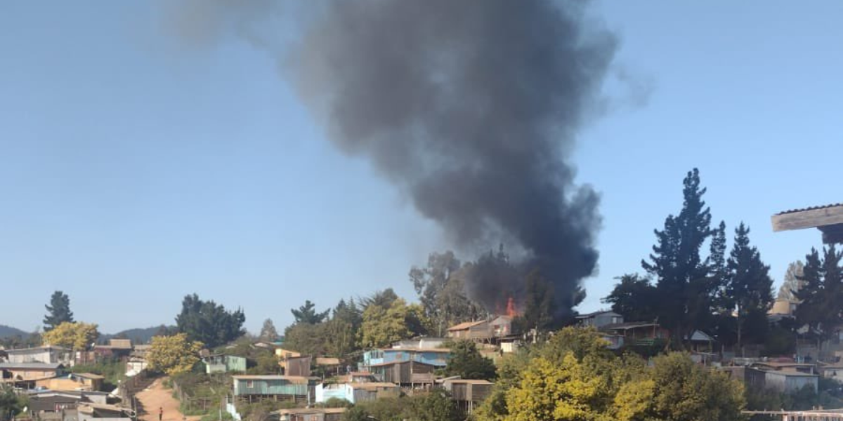 incendio en sector forestal alto en viña del mar 28 de julio de 2022 ...