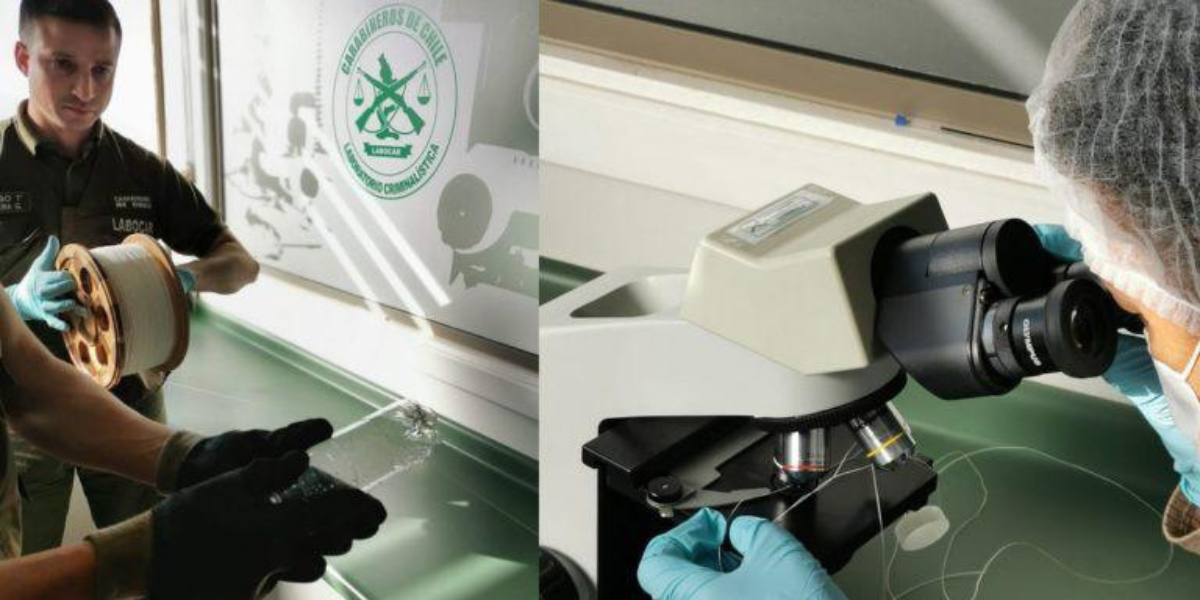 Fiestas Patrias: Recomendaciones para evitar accidentes con hilo curado