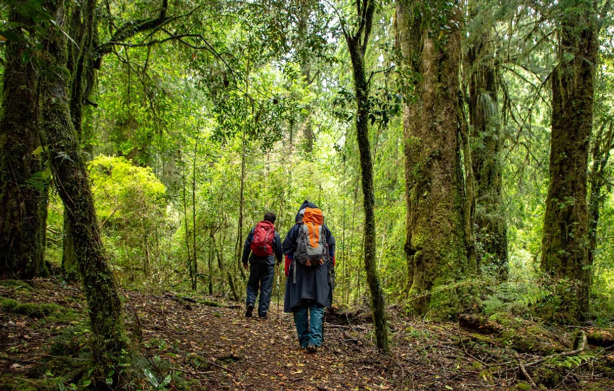 Nuevo ‘Oscar del Turismo’: Chile es el Mejor Destino Verde del Mundo 2022