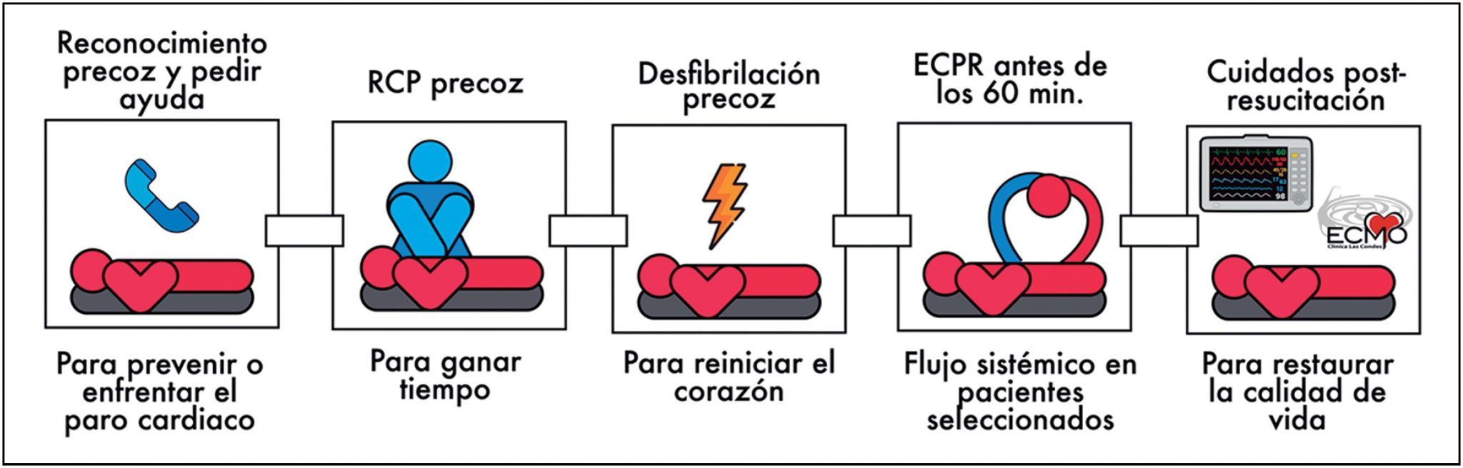 RCP y Maniobra de Heimlich: la importancia de actuar a tiempo