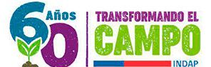 indap-60-años | El Observador