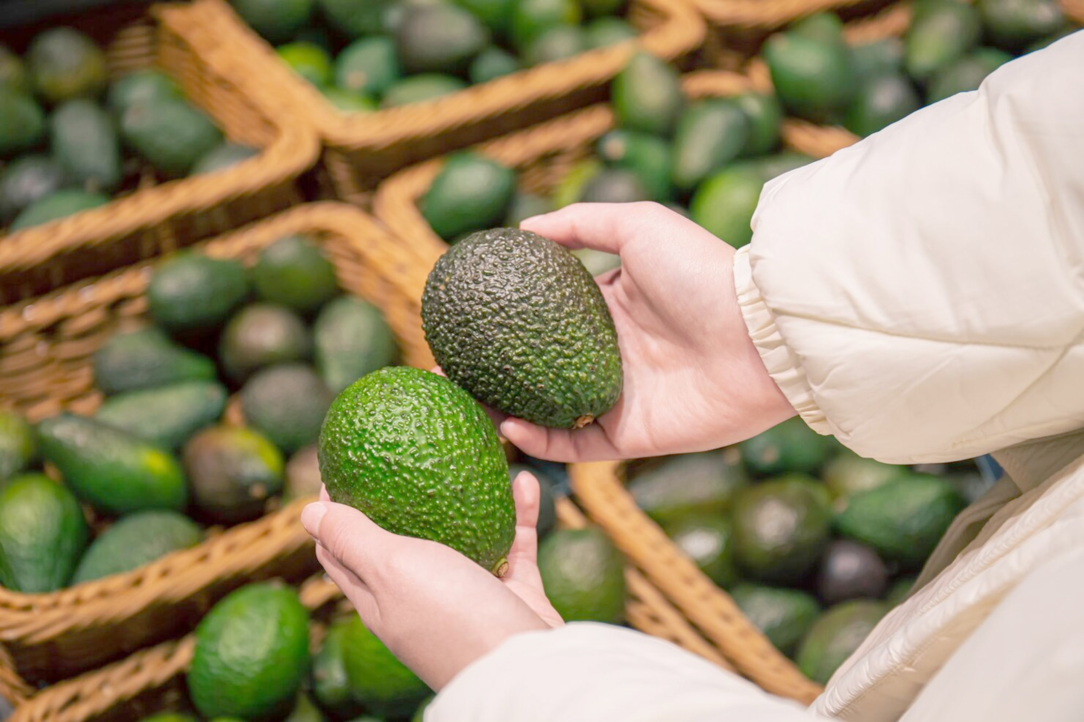 Hay que hacer un esfuerzo por defender el valor que tiene la palta en ...
