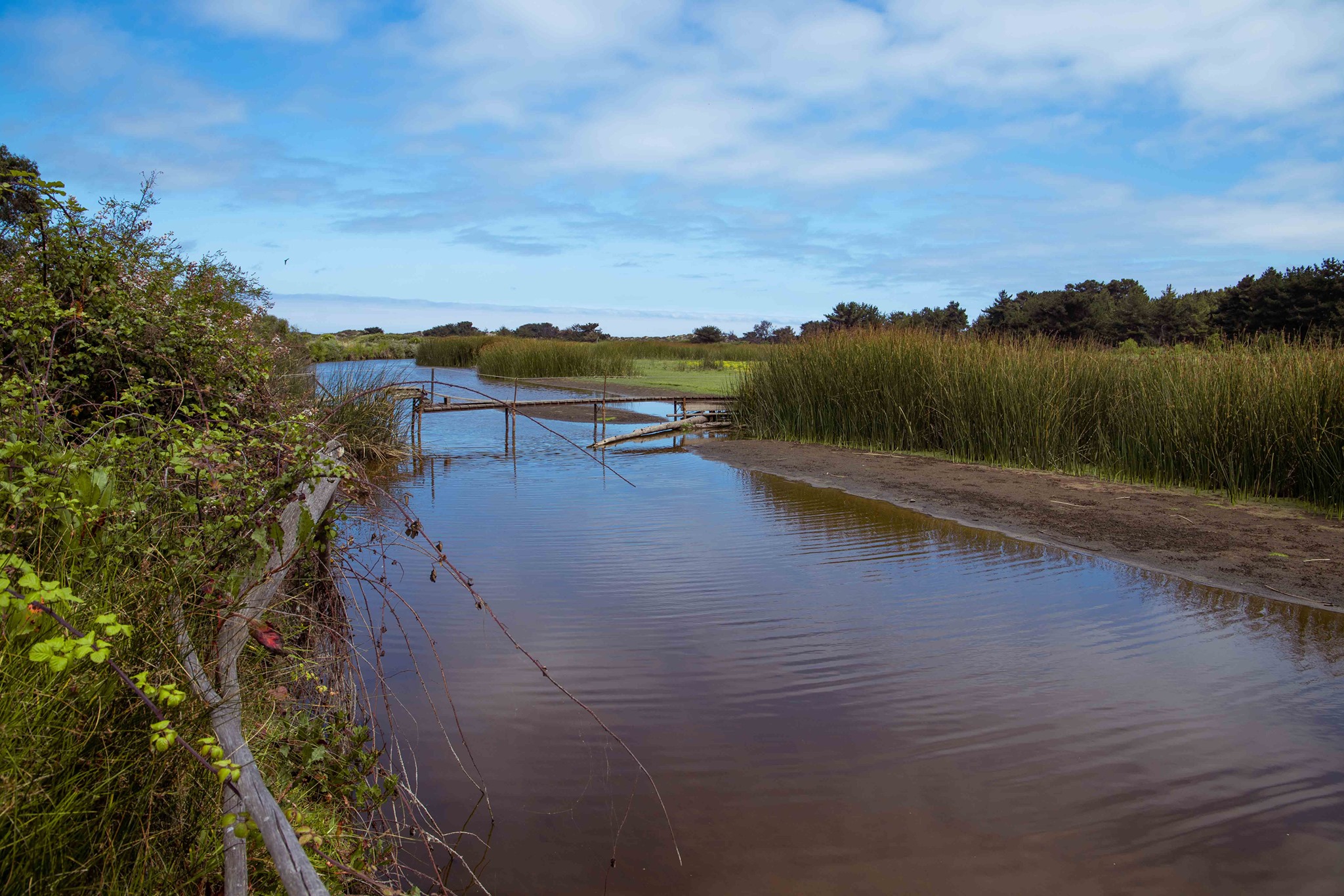 Humedal de Mantagua, Quintero | El Observador