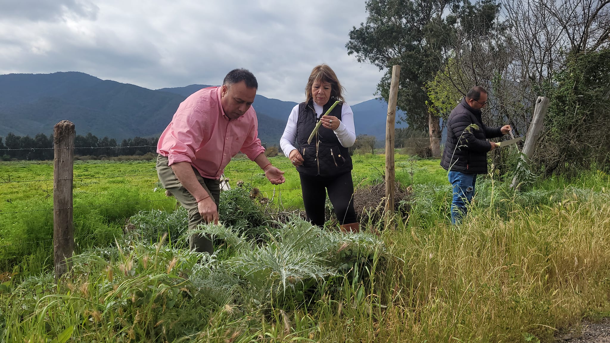 Alcaldesa invita a celebrar el “Día de la Penca” en Nogales
