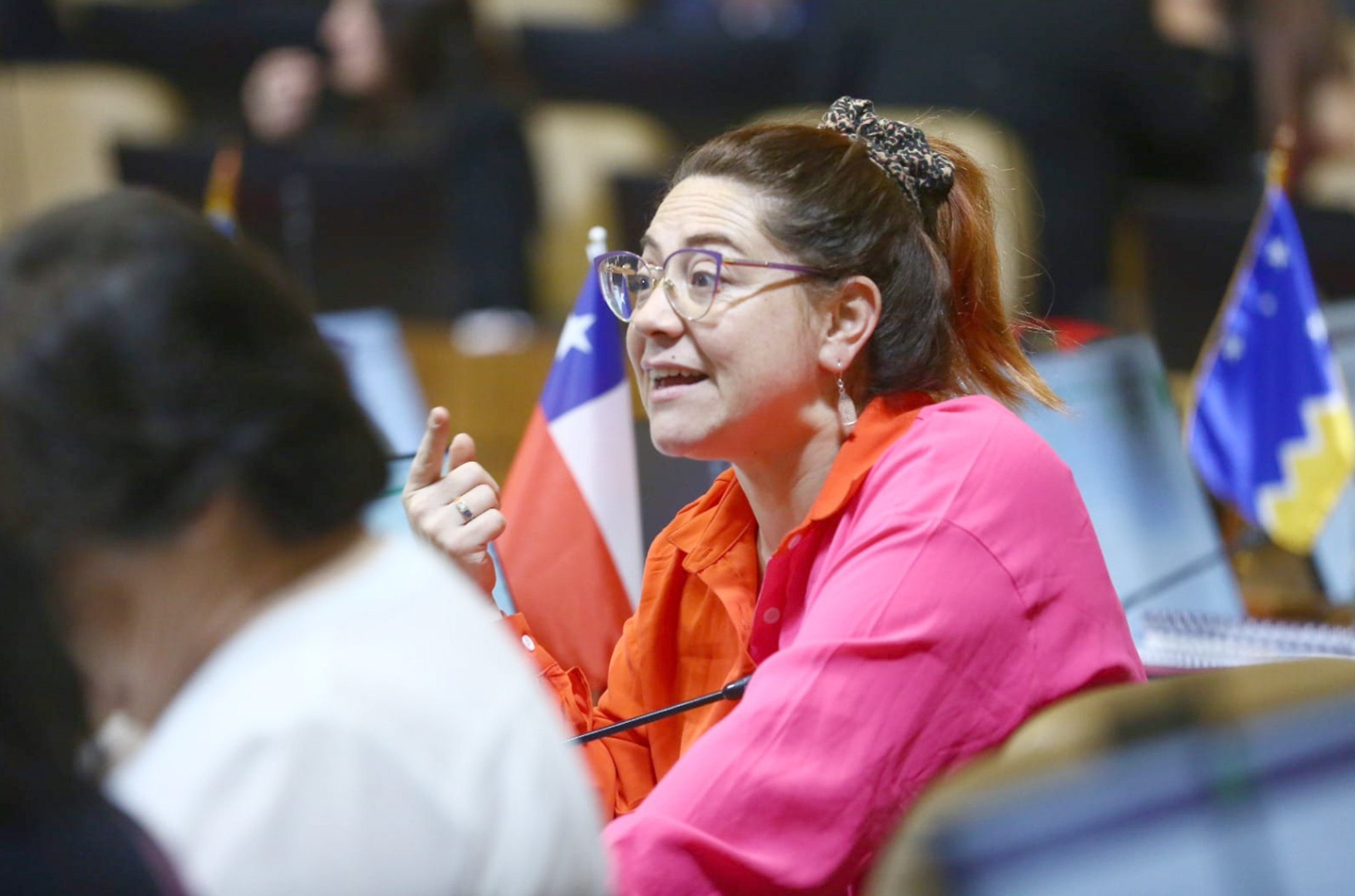 Diputada María Francisca Bello | El Observador