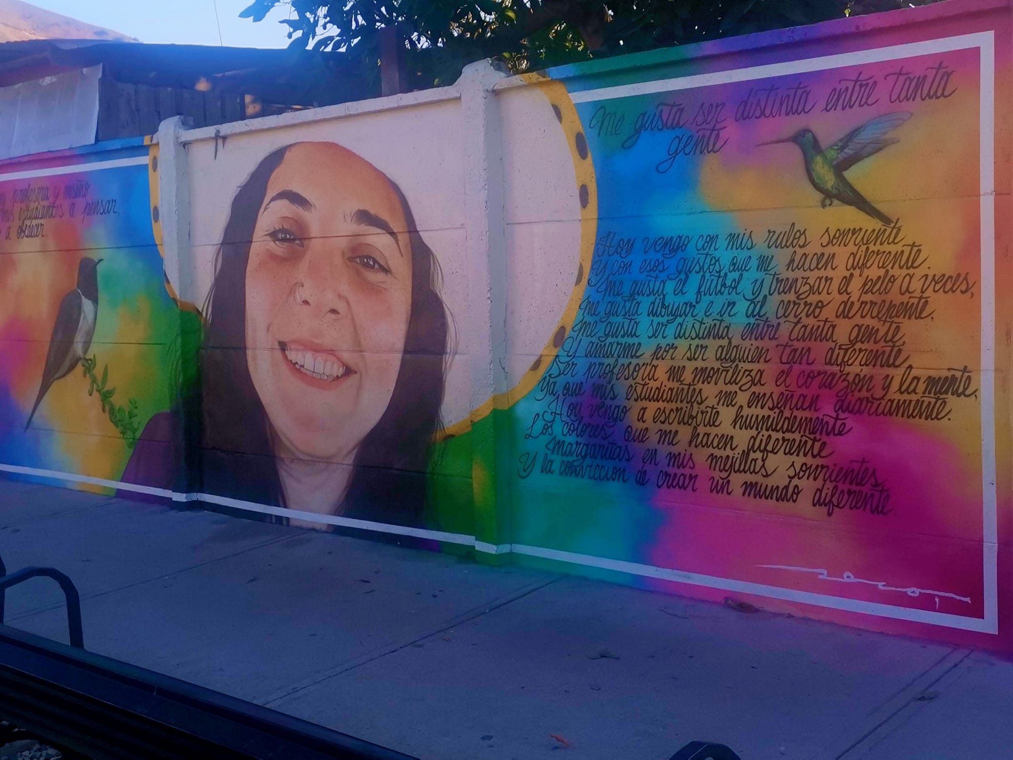 SECO SANCHEZ MURAL PROFESORA DONDNTE LA CALERA | El Observador