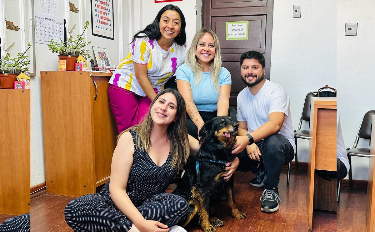 La historia de “Chester”, el perro más querido del centro de Quillota