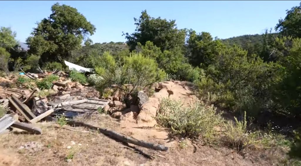 Netflix estrenará documental de secta de Antares de La Luz