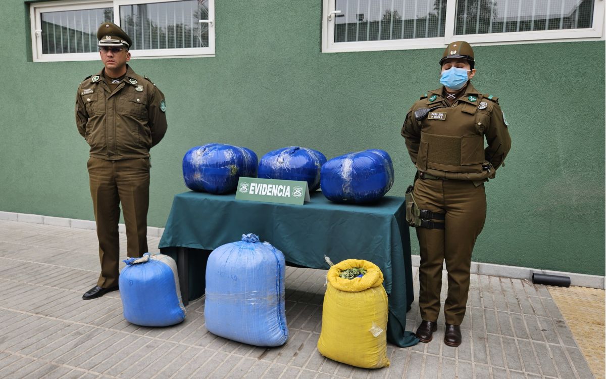 Incautan casi 80 kilos de hojas de coca en el paradero del peaje Las Vegas