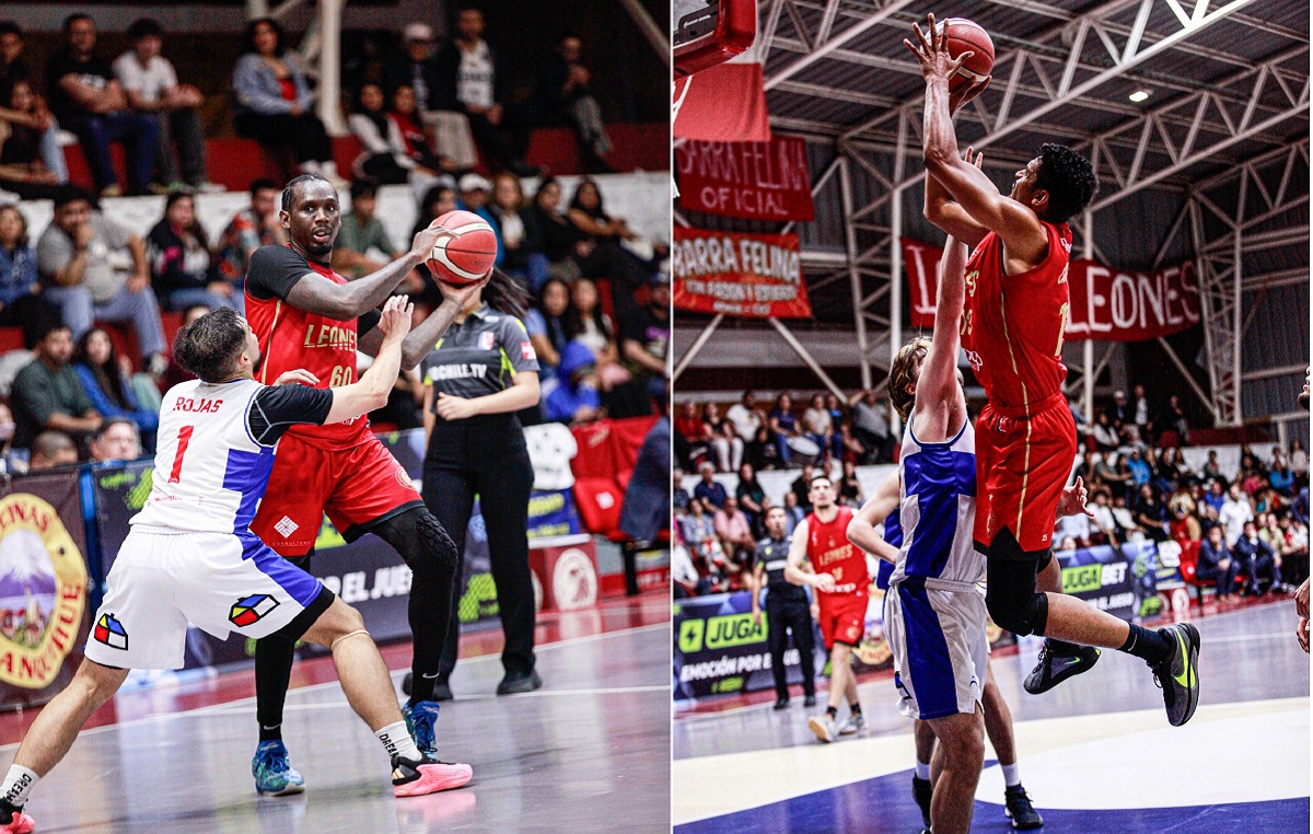 Los Leones de Quilpué se preparan para recibir a Colo Colo y Español de Talca