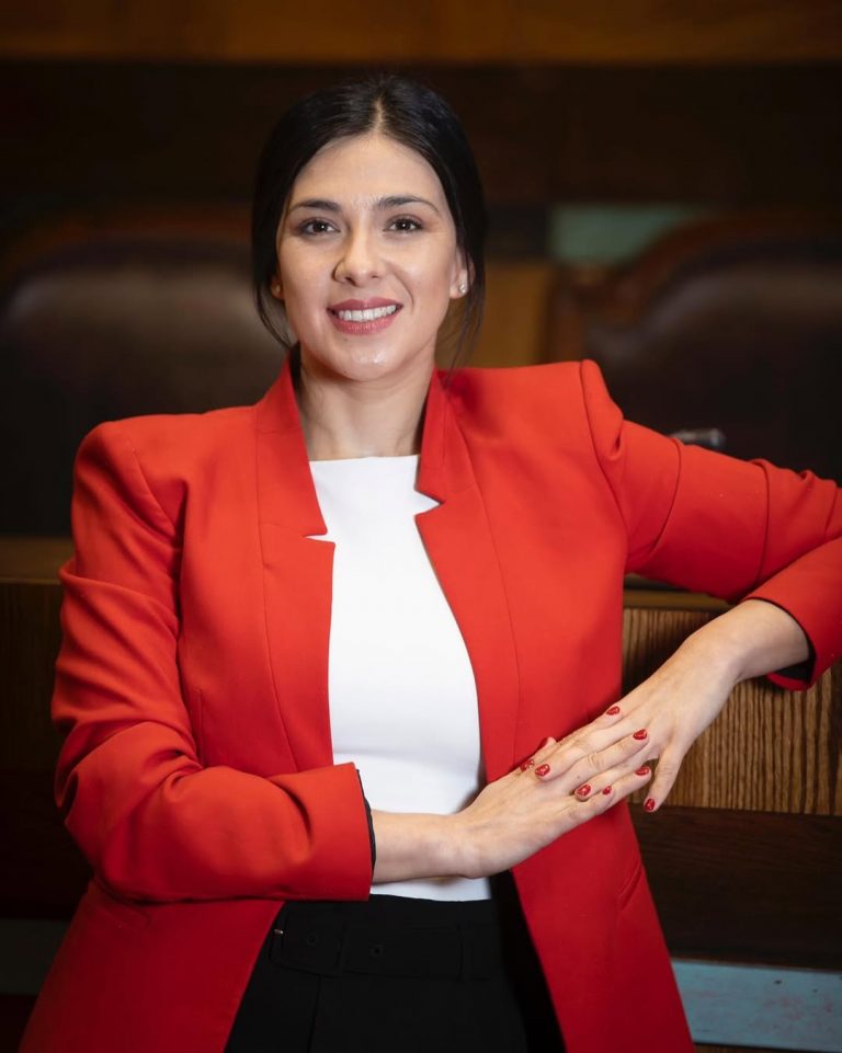 Senadora Karol Cariola critica reforma tributaria y cuestiona embargos ...