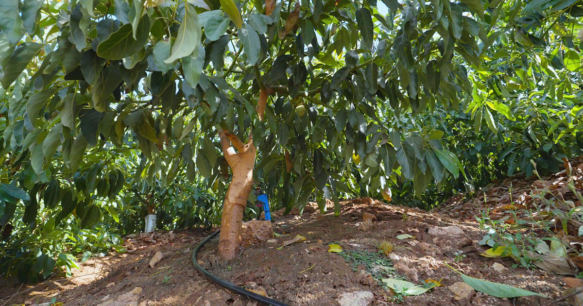 base-para-fotos-notas-web1 | El Observador