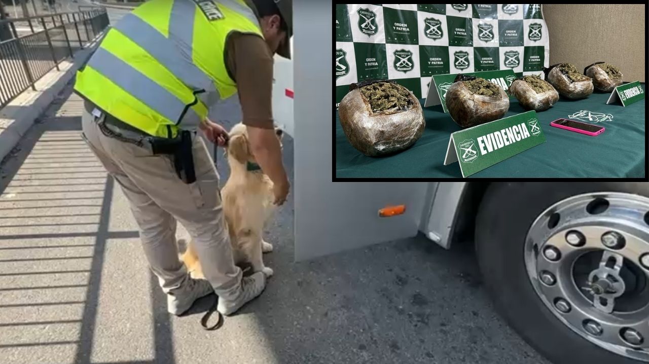 Nogales: Pasajera de bus trasladaba casi 6 kilos de droga