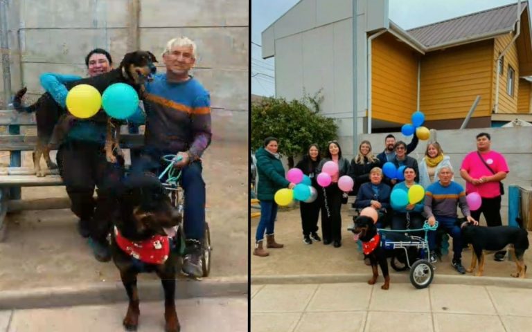 Adoptaron a Dino, perrito con discapacidad: vive en La Cruz