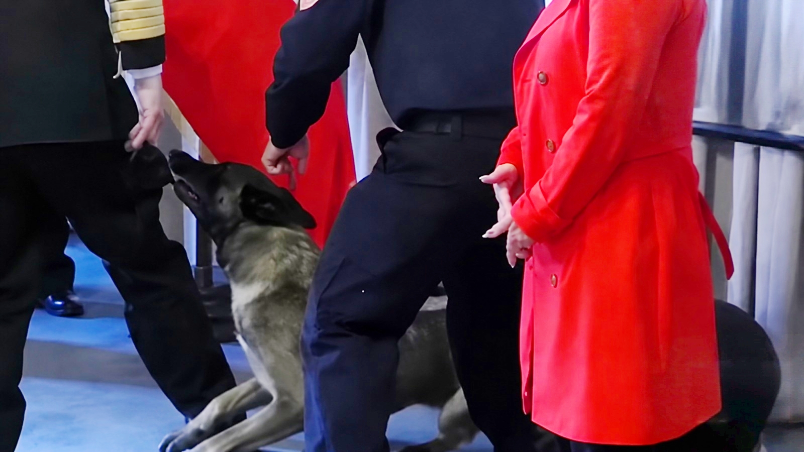 Explican por qué perro antidrogas mordió a vicealmirante