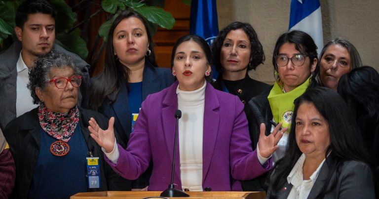 Sesión solicitada por senadora Cariola marca avance para el Van Buren